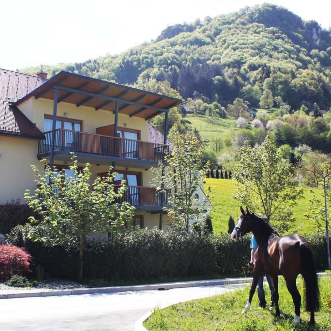 Zasebno wellness razvajanje v dvoje za 2 uri - Villa Aina - Razvajanje.si